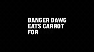 Text Presets for Premiere Pro - aescripts.com